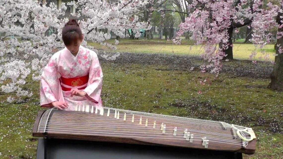 Koto (Japanese harp) .is a traditional Japanese stringed musical instrument