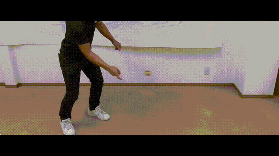 Koma has long been prized as symbols of good luck