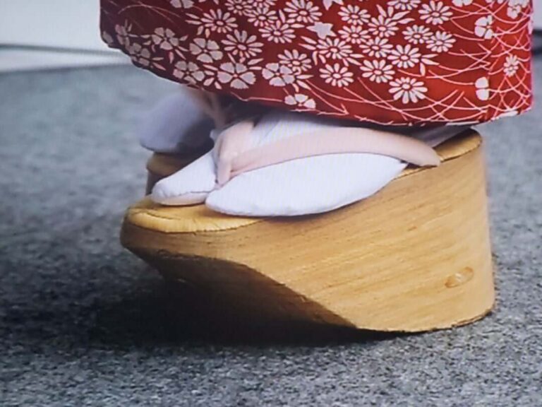 Geisha are traditional Japanese female entertainers who act as hostesses