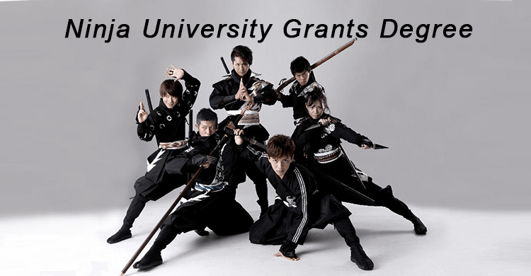 Ninja University ,they were a spy and/or assassins in feudal age
