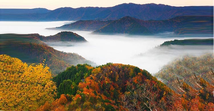 Japan Soars to the Summit: No.1 in the 'World's Most Attractive Country ...